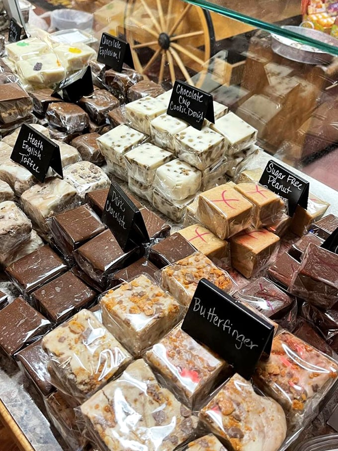 Fudge varieties lined up like sweet soldiers ready for duty. Each square promises a different journey, but they all lead to happiness.