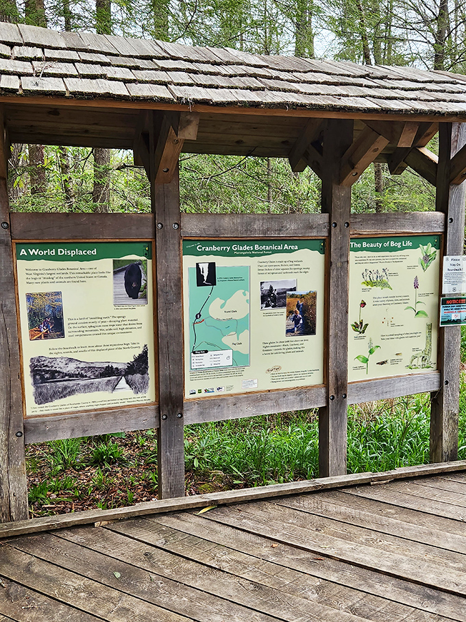 Educational panels that transform casual strollers into amateur botanists. Knowledge: the souvenir that doesn't require extra luggage space.