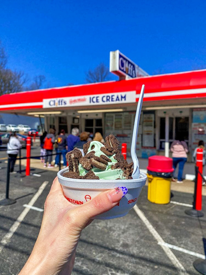 Mint ice cream so authentic looking, you'd half expect your dentist to approve. The perfect balance of creamy sweetness with just enough cool to make your brain freeze worth it.