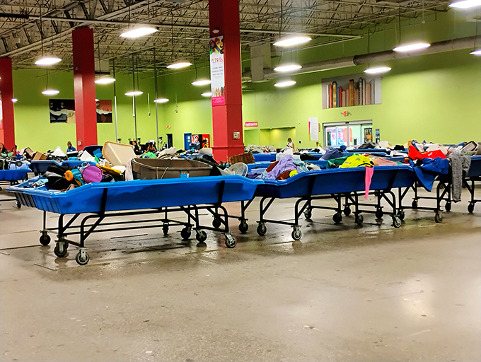 Like an archaeological dig without the sunburn, each bin contains layers of history waiting to be discovered by patient treasure hunters.