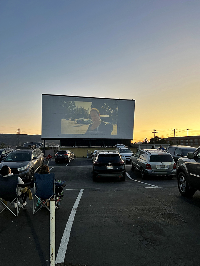 As dusk settles in, the screen awakens with light and stories, transforming ordinary evenings into extraordinary adventures for patient moviegoers.