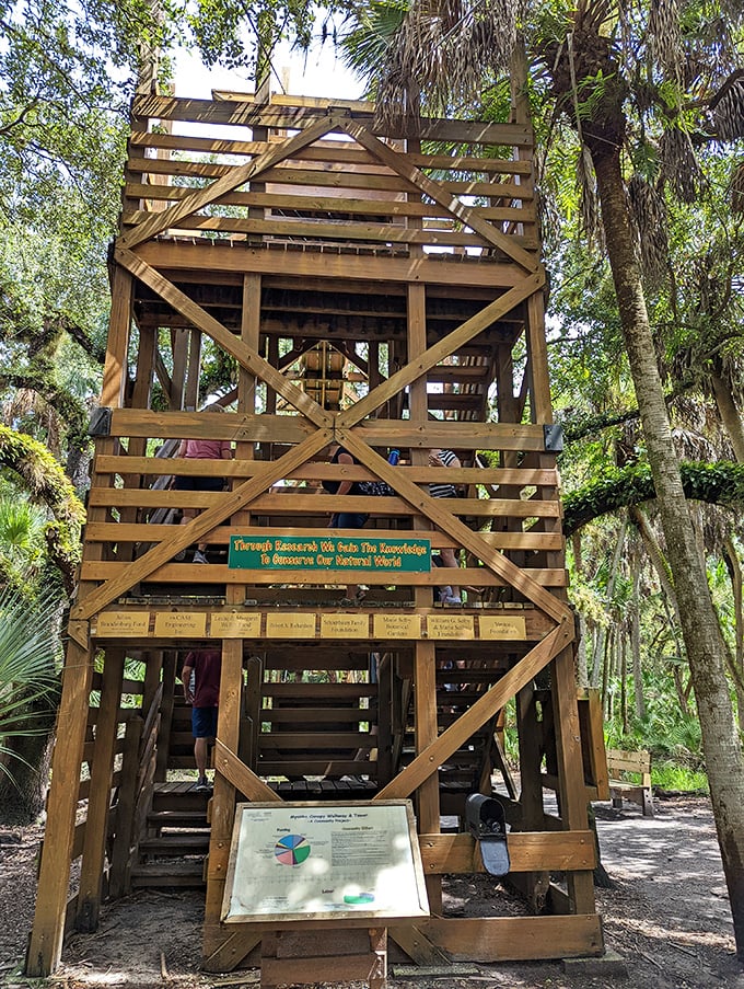 This wooden tower isn't the next trendy tiny home—it's your ticket to a bird's-eye view of Florida's wild side, no drone required.