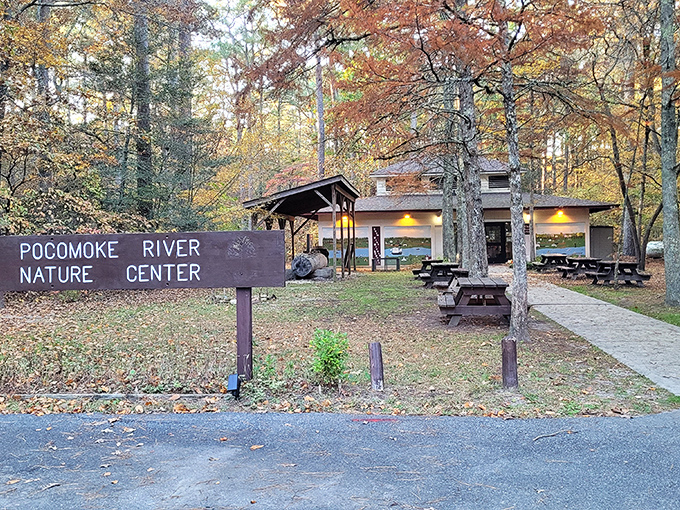 Autumn transforms the Nature Center into a painting come to life, where learning about wildlife happens amid nature's most spectacular color show.