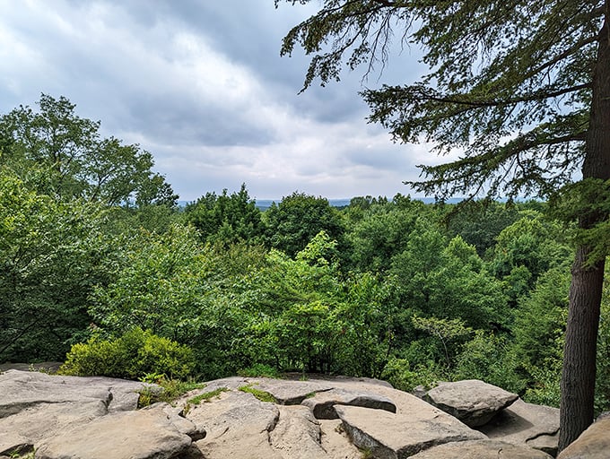 Mother Nature's infinity pool view without the resort prices. This overlook delivers panoramas that Instagram filters couldn't improve if they tried.