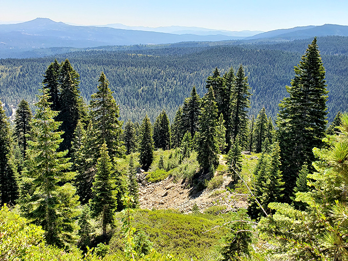 Miles of untouched wilderness unfold like nature's own cathedral. The kind of vista that makes you forget your inbox exists.