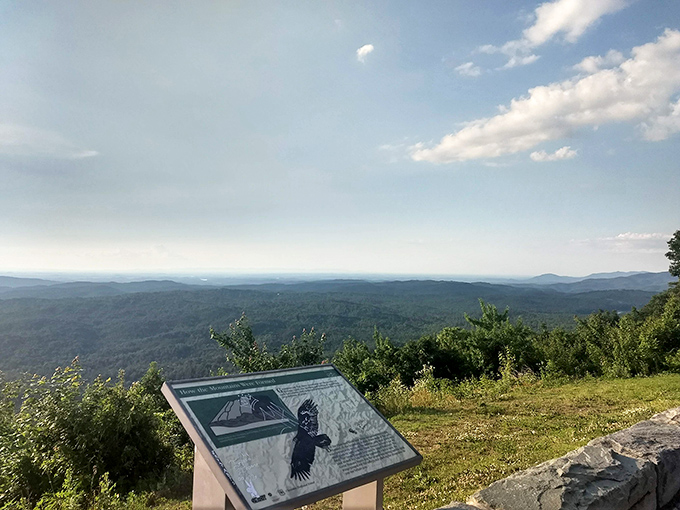Standing at this overlook, three states unfold before you like a topographical dream. Even the eagles stop mid-flight to admire the view.