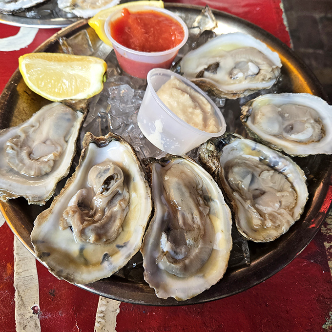 These plump, glistening oysters aren't just seafood; they're little miracles of the ocean, 900 miles from the nearest coast.