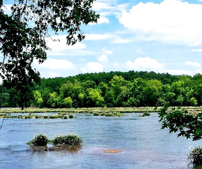 Mother Nature's picnic grounds. This riverside scene is the backdrop missing from your family photos and your life.