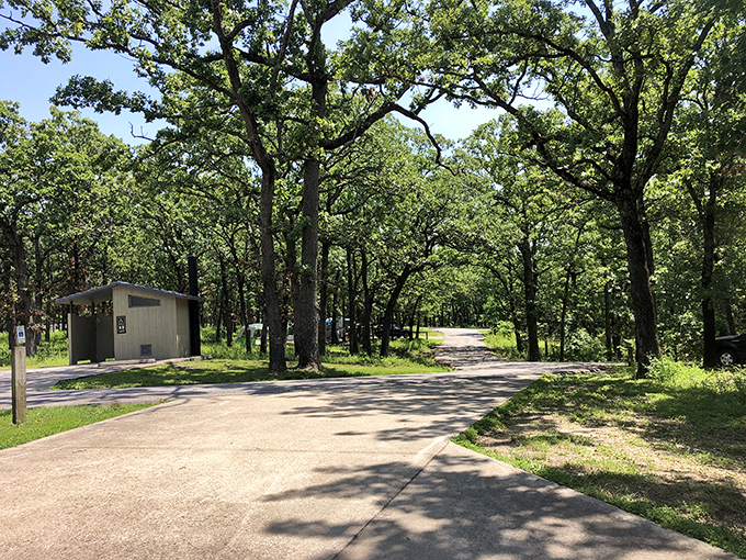 Park planners thoughtfully tucked campsites among mature oaks, creating shaded havens where you can pretend you're actually good at roughing it.