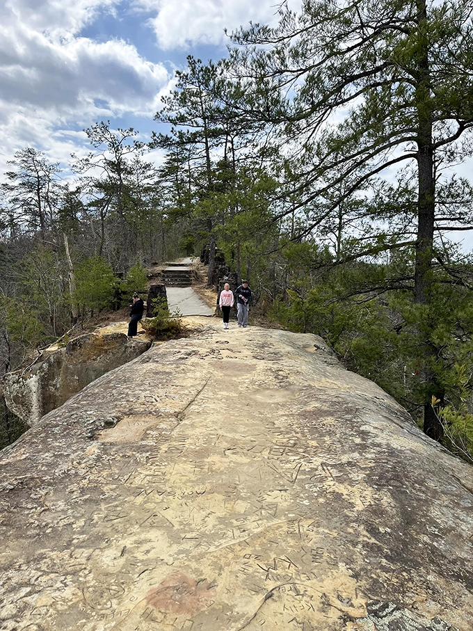 The path less traveled? Not exactly, but worth every footstep. This sun-drenched trail offers glimpses of the gorge that'll make your Instagram followers green with envy.