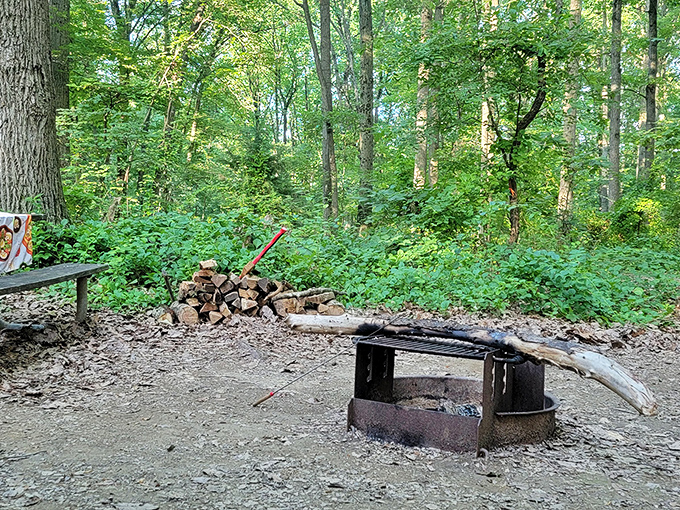 The road less traveled sometimes has the best view. This lakeside drive at Codorus delivers postcard-worthy scenes at every turn. 