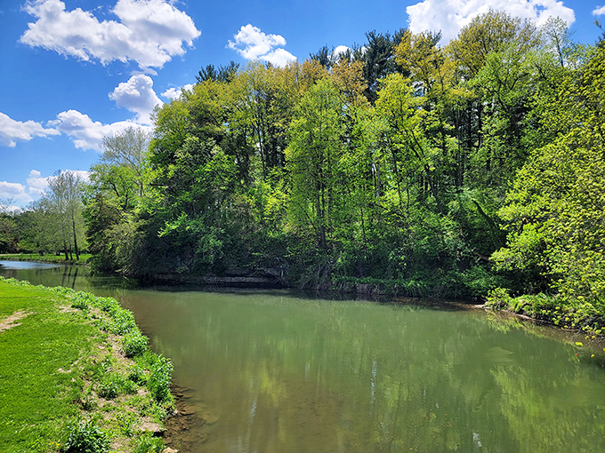 Pine Creek lazily reflects the forest canopy, creating nature's most perfect mirror. No Instagram filter has ever achieved what this water does naturally.
