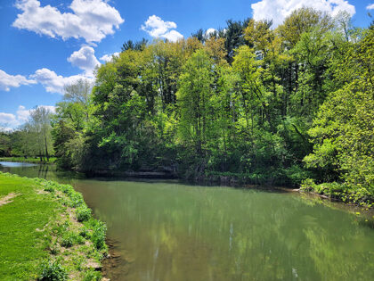 The Stunning State Park In Illinois That's Almost Too Beautiful To Be Real