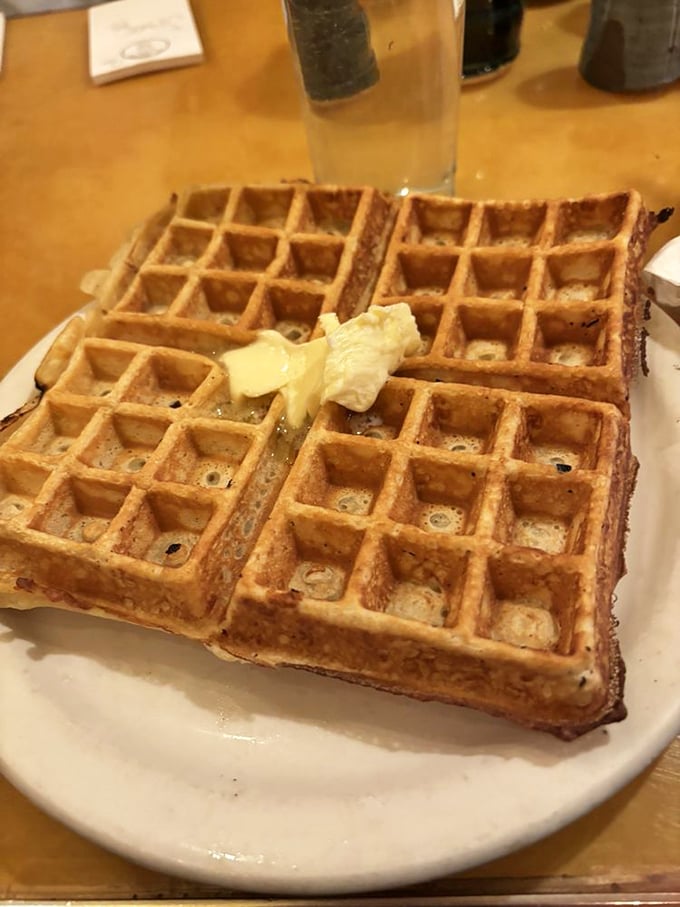 Golden waffle perfection that makes you question why anyone would ever eat cereal again. Those perfect squares are practically begging for that melting butter.