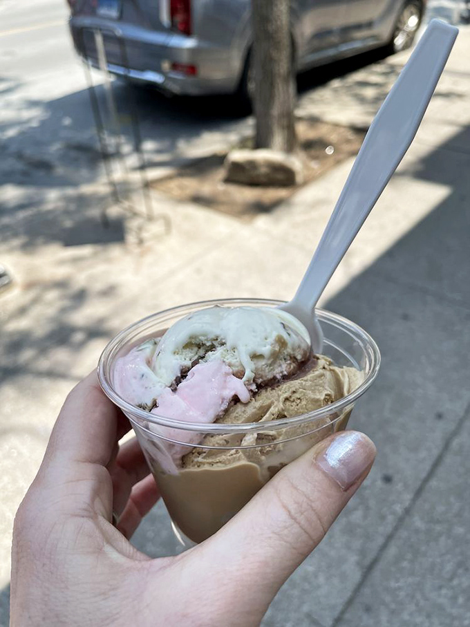 Three different scoops nestled in perfect harmony - like the dessert version of a musical trio that somehow works despite their different flavors.