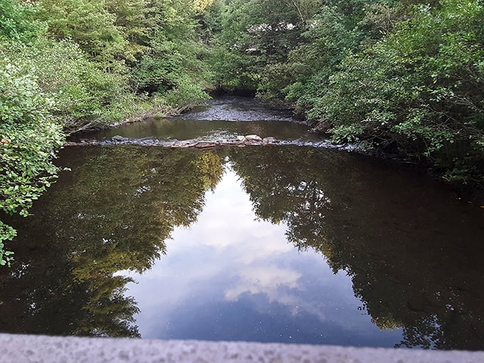 Mirror, mirror on the water... Pennsylvania's pristine streams reflect the sky so perfectly you'll wonder which way is up. Thoreau would have written extra chapters.