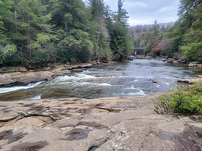 The Youghiogheny River carves its patient path through Maryland's wilderness, a reminder that persistence eventually shapes even the hardest stone. 