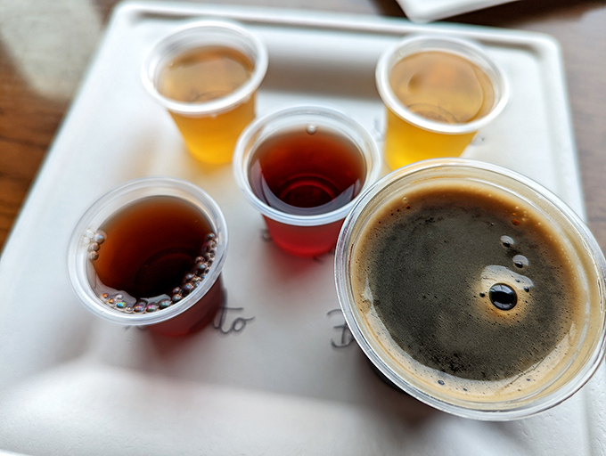 Liquid amber jewels in plastic cups&mdash;each sip tells a different story. Like a wine flight for people who don't need to pretend they understand tannins.