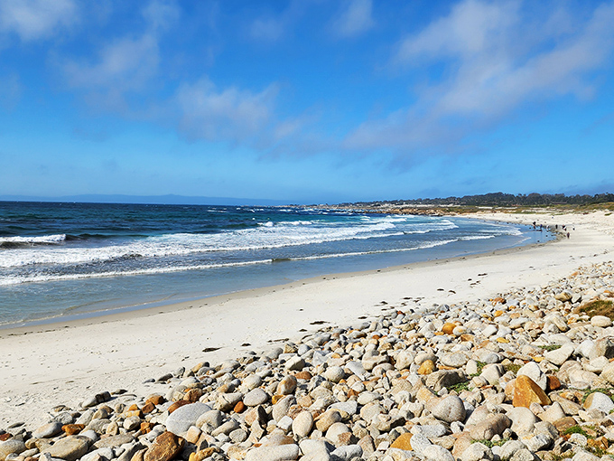 Majestic cliffs stand guard over the ocean's edge, proof that California didn't skimp on the scenery budget when designing this coastal masterpiece.