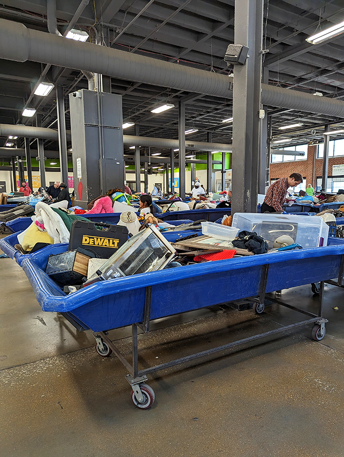 The blue bin safari in full swing &ndash; notice the practiced technique of seasoned hunters who've mastered the art of the strategic dig.