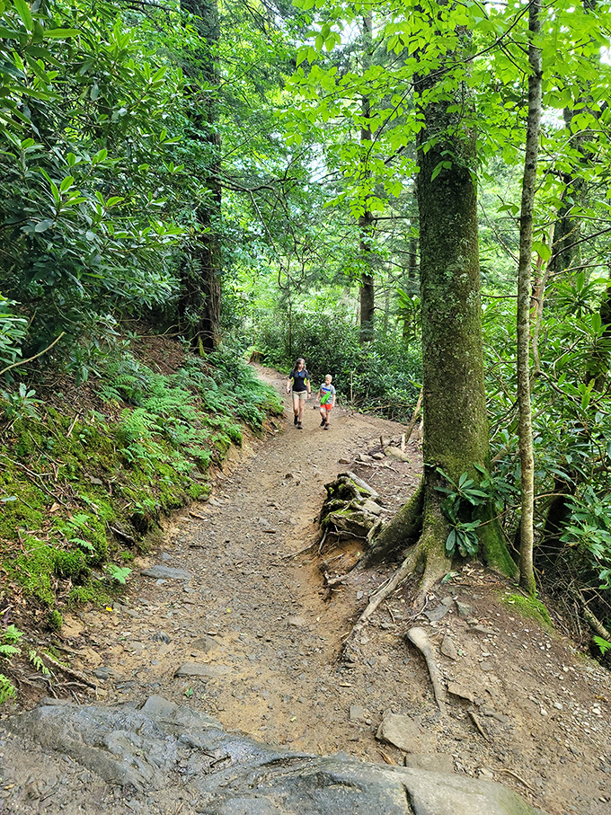 The path less traveled? Not exactly, but worth every footstep. This well-worn trail has hosted generations of nature-seekers and still delivers the goods.