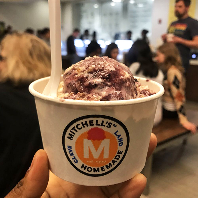 This Wild Berry Crumble isn't just ice cream&mdash;it's summer captured in a cup. Those purple swirls are practically singing with berry goodness.