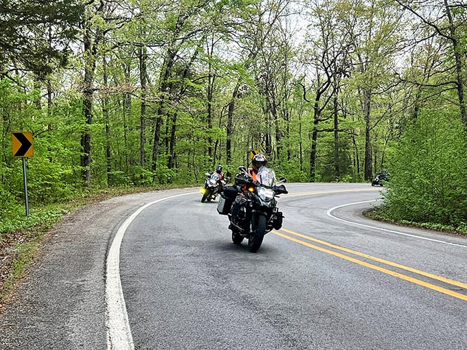 The unofficial Pig Trail motorcycle club in session. These curves weren't made for straight thinking &ndash; they were designed for leaning into life.