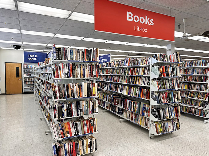 Bibliophiles beware! You might enter for a quick browse and emerge hours later, arms laden with literary treasures spanning every genre imaginable.