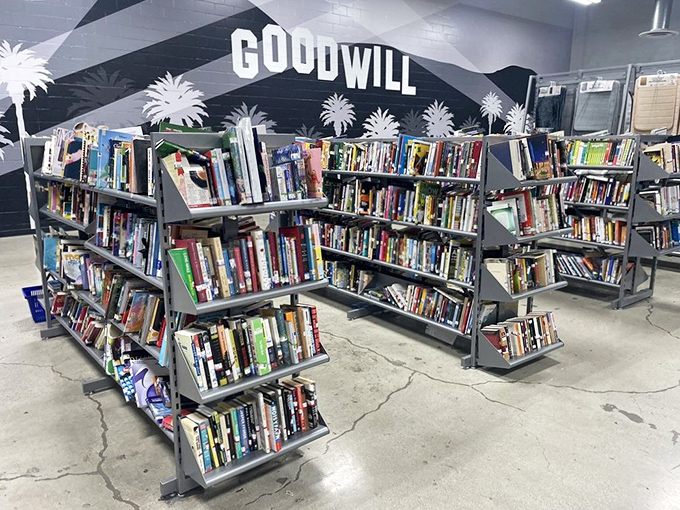 Literary wonderland beneath palm tree silhouettes. Where bookworms can build their dream libraries without breaking the bank.