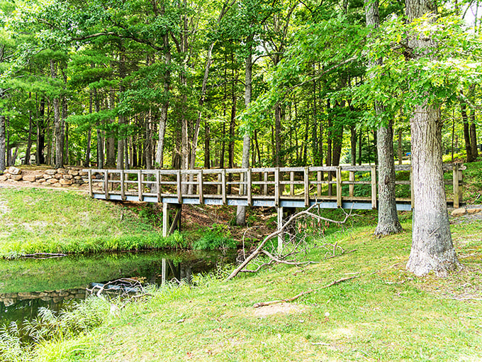 This charming wooden footbridge doesn't just connect two shores&mdash;it bridges the gap between everyday life and woodland serenity.