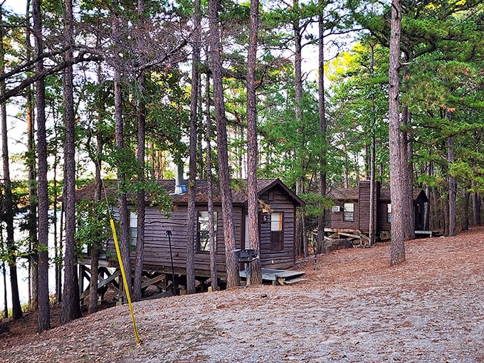Lakeside cabins nestled among towering pines offer that perfect middle ground between roughing it and room service.