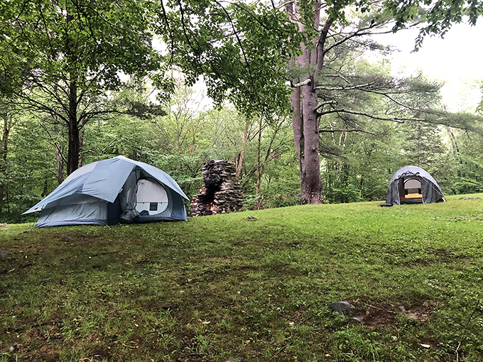 Camping here isn't roughing it—it's smoothing out life's wrinkles. These tents have better views than most five-star hotels.