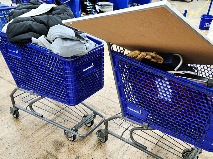 The humble shopping cart&mdash;your trusty sidekick in this vast wilderness of potential finds. Choose wisely, brave explorer.