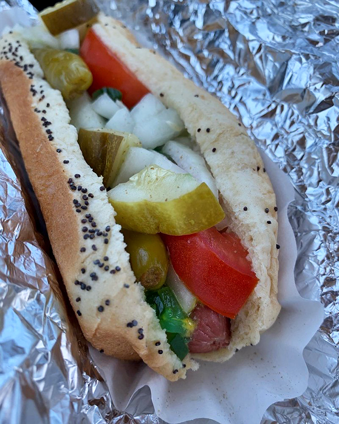 The Chicago Dog in all its glory—a garden of toppings nestled in a poppy seed bun. This isn't just a hot dog; it's architecture.
