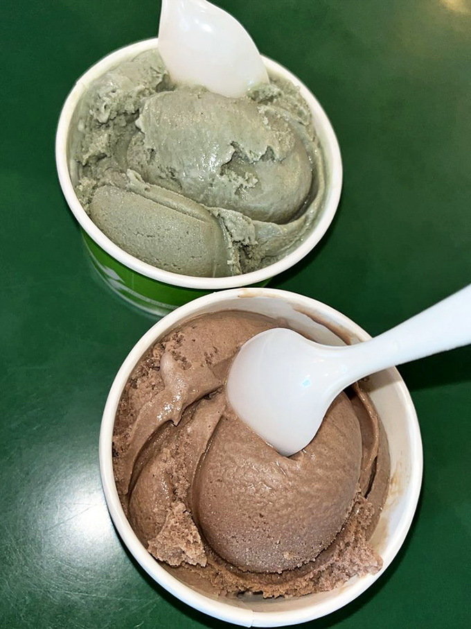 Two scoops having a philosophical debate: chocolate contemplating life's richness while matcha ponders its zen-like serenity.