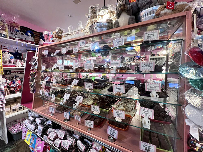 Chocolate dreams arranged with museum-worthy precision – each square and rectangle a potential moment of bliss waiting to be discovered.