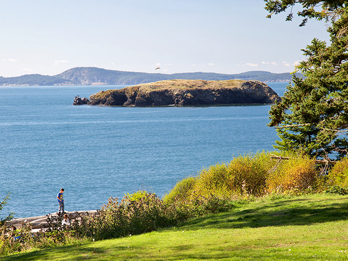 Nature's balcony: This clifftop vista offers soul-stirring views of the Puget Sound, where eagles soar and island life unfolds below.