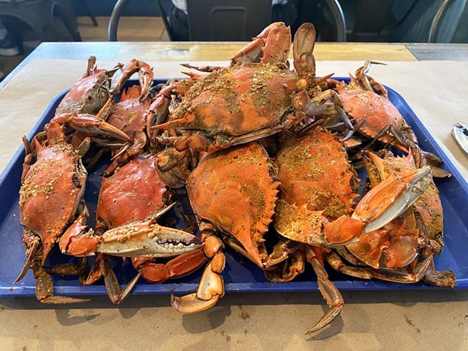 These seasoned blue crabs aren't just dinner; they're an interactive experience that rewards patience with sweet, succulent meat worth every bit of effort.