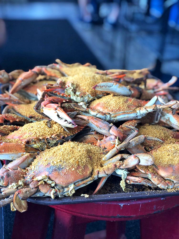 A mountain of Old Bay-dusted blue crabs awaiting their destiny. This isn't just dinner; it's a delicious puzzle that rewards persistence.