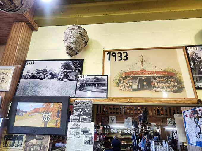 Historical photos from 1933 hang alongside wasp nests&mdash;because in a proper roadside attraction, education and peculiarity must peacefully coexist.