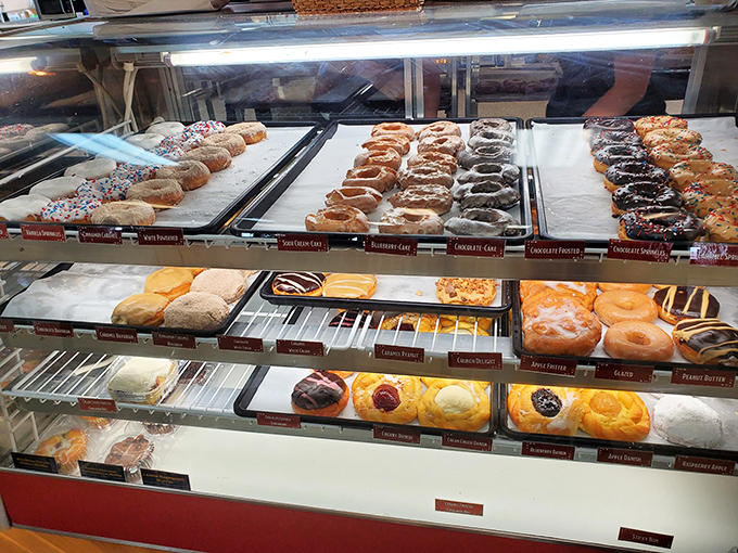 Donut heaven arranged in neat rows, like a delicious art gallery where every masterpiece is edible. Decision paralysis has never been sweeter.