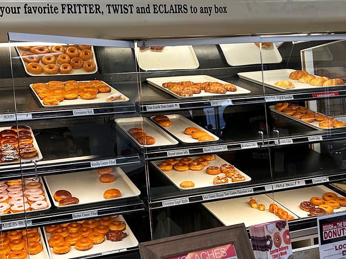Donut heaven exists, and it's arranged in neat rows behind glass. Like a museum of edible art, except you're encouraged to take the exhibits home.