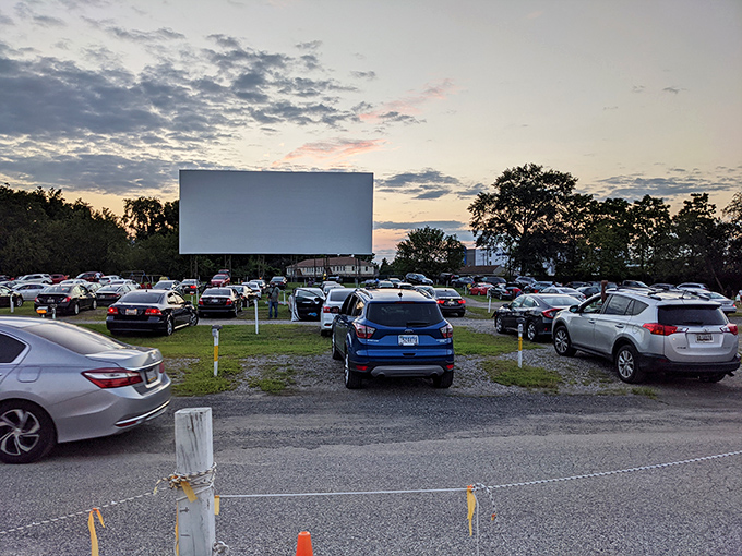 Cars line up like eager moviegoers at a premiere, each vehicle a private theater box with the best seats in the house.