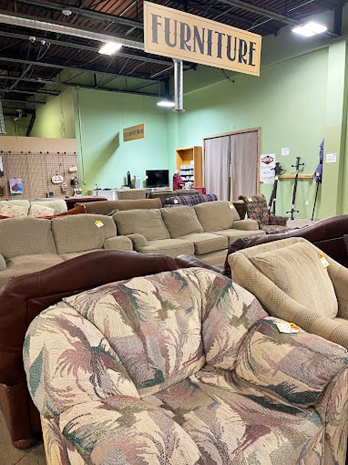 Sofa safari: Where every couch tells a story and that tropical print loveseat is practically begging to become the conversation piece in your living room.