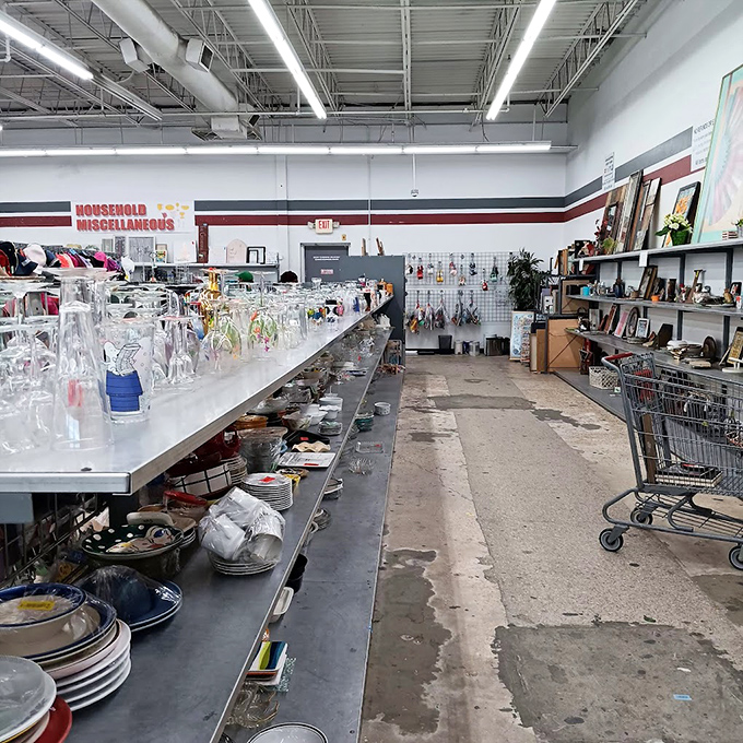 Glassware galore! Crystal, everyday dishes, and mysterious serving pieces line up like contestants in a beauty pageant of domestic artifacts. 