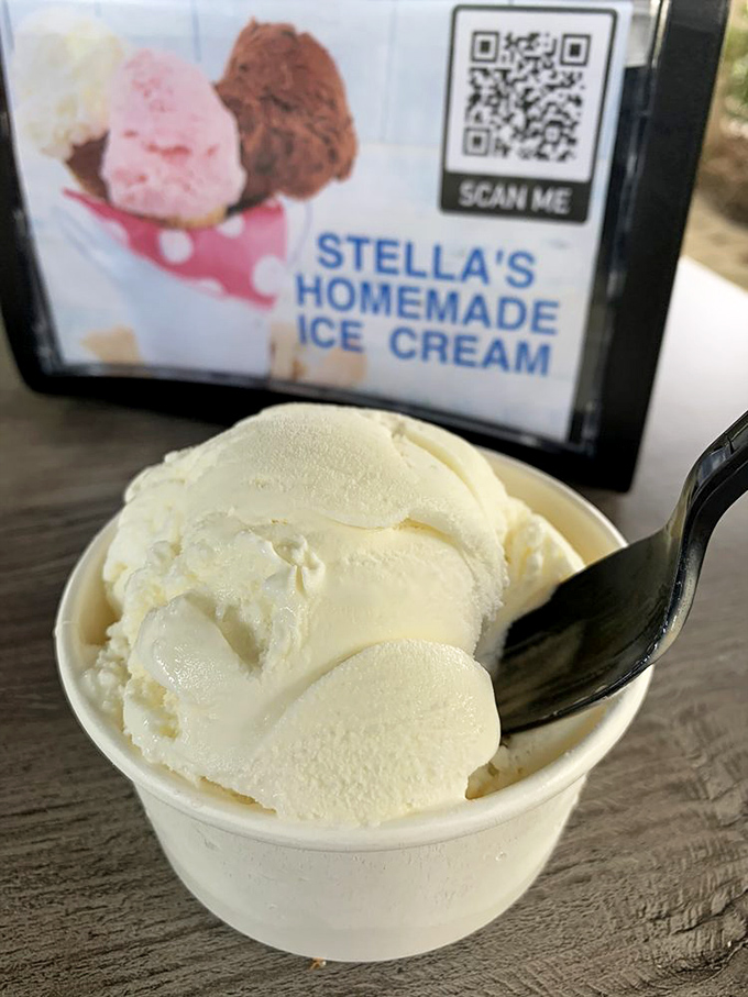 Vanilla ice cream so pure and creamy it makes you question why you ever bothered with those fancy flavors. Sometimes, classics are classics for a reason.