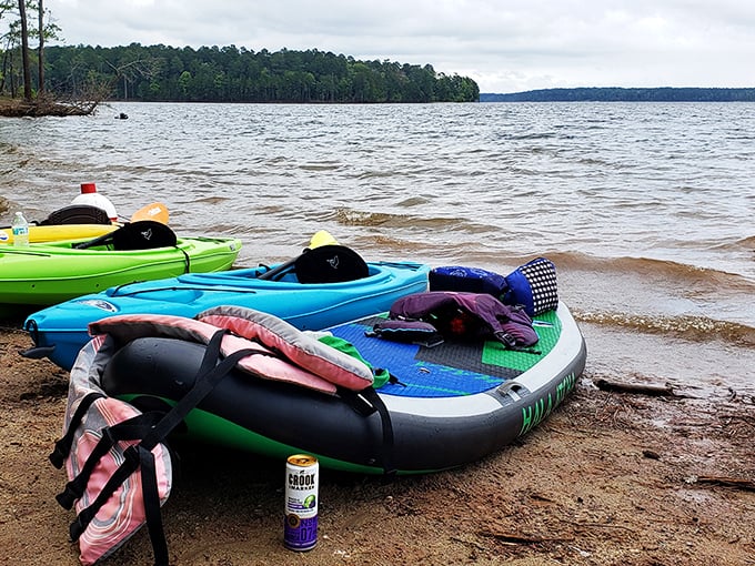 Colorful kayaks rest on shore, patiently waiting for their next adventure like eager dogs eyeing their leashes.