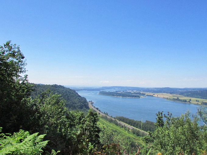 The lower viewing area offers an up-close perspective that will have you checking if your phone is waterproof. Worth every droplet of spray.