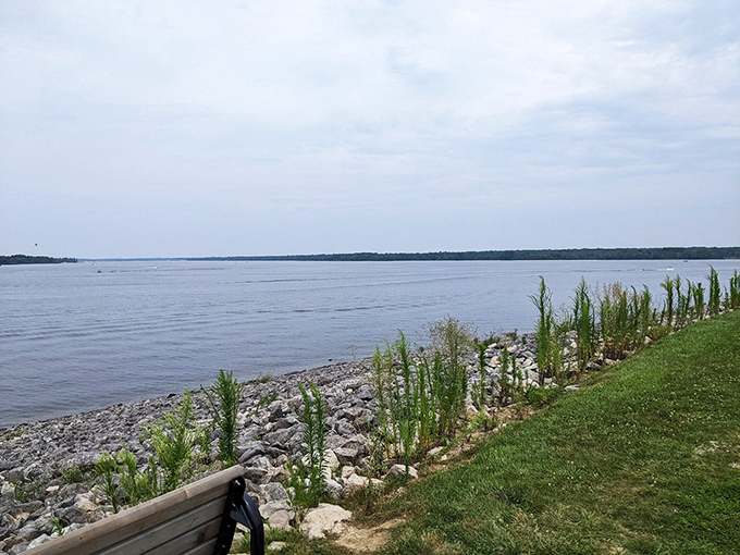 Lakeside serenity at its finest. Alum Creek's shoreline offers a front-row seat to nature's greatest show—no ticket required, just bring your own contemplative stare.
