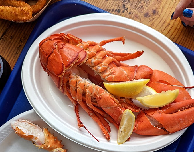 This lobster isn't just dinner, it's a California event. Two lemon wedges stand by, ready for their supporting role in this ocean-to-plate drama.